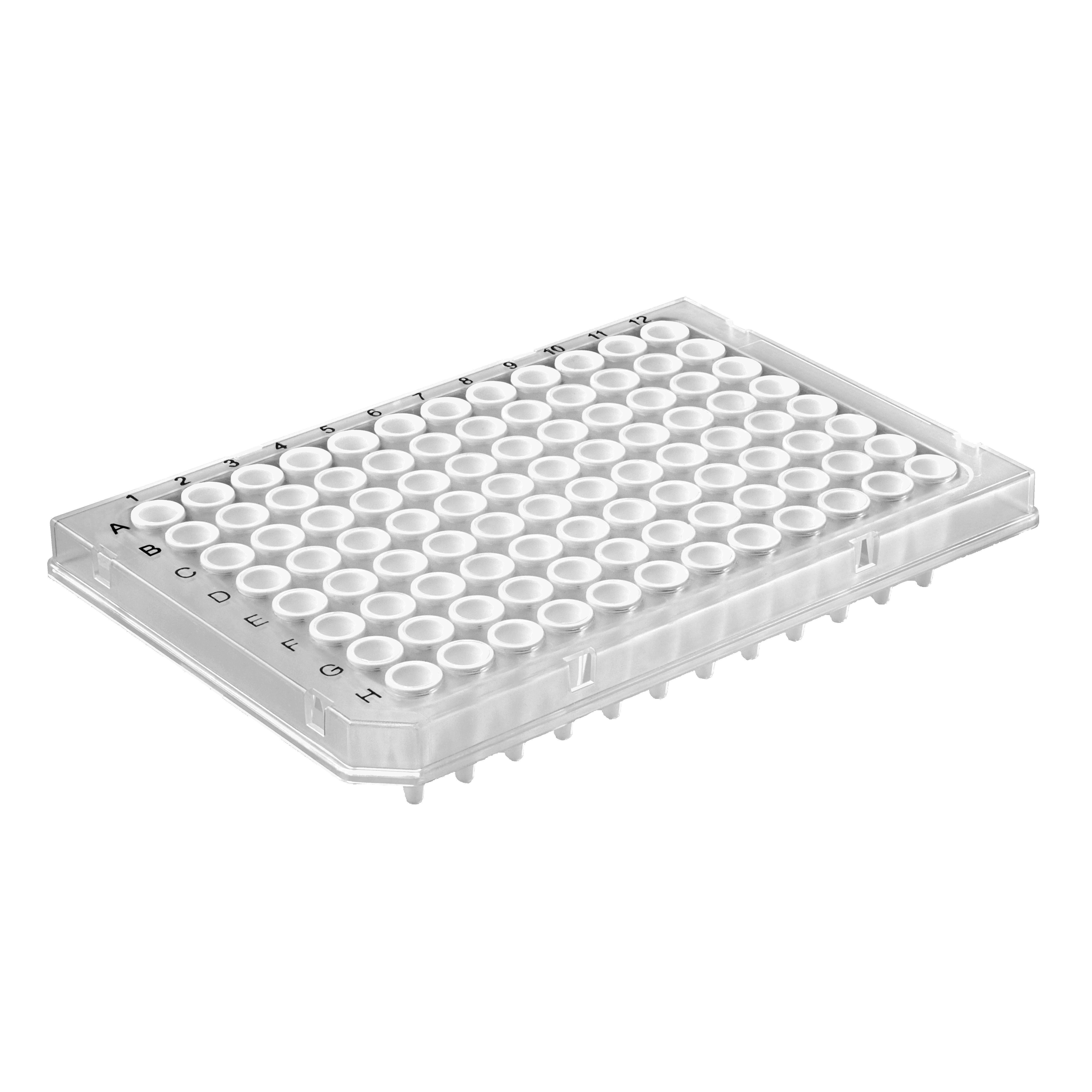 PrimaPLATE RIGID 96 well Platte Halbrand SL PP96R 4 CW